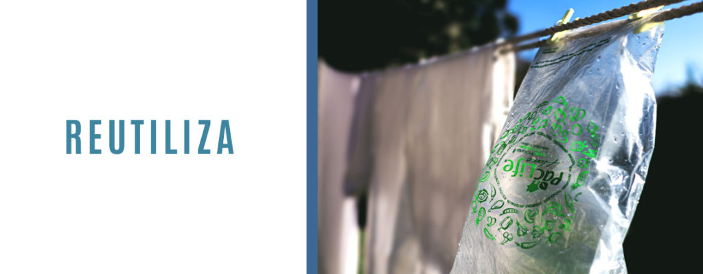 Reutilizar, el primer paso para un mundo sustentable - PacLife Home